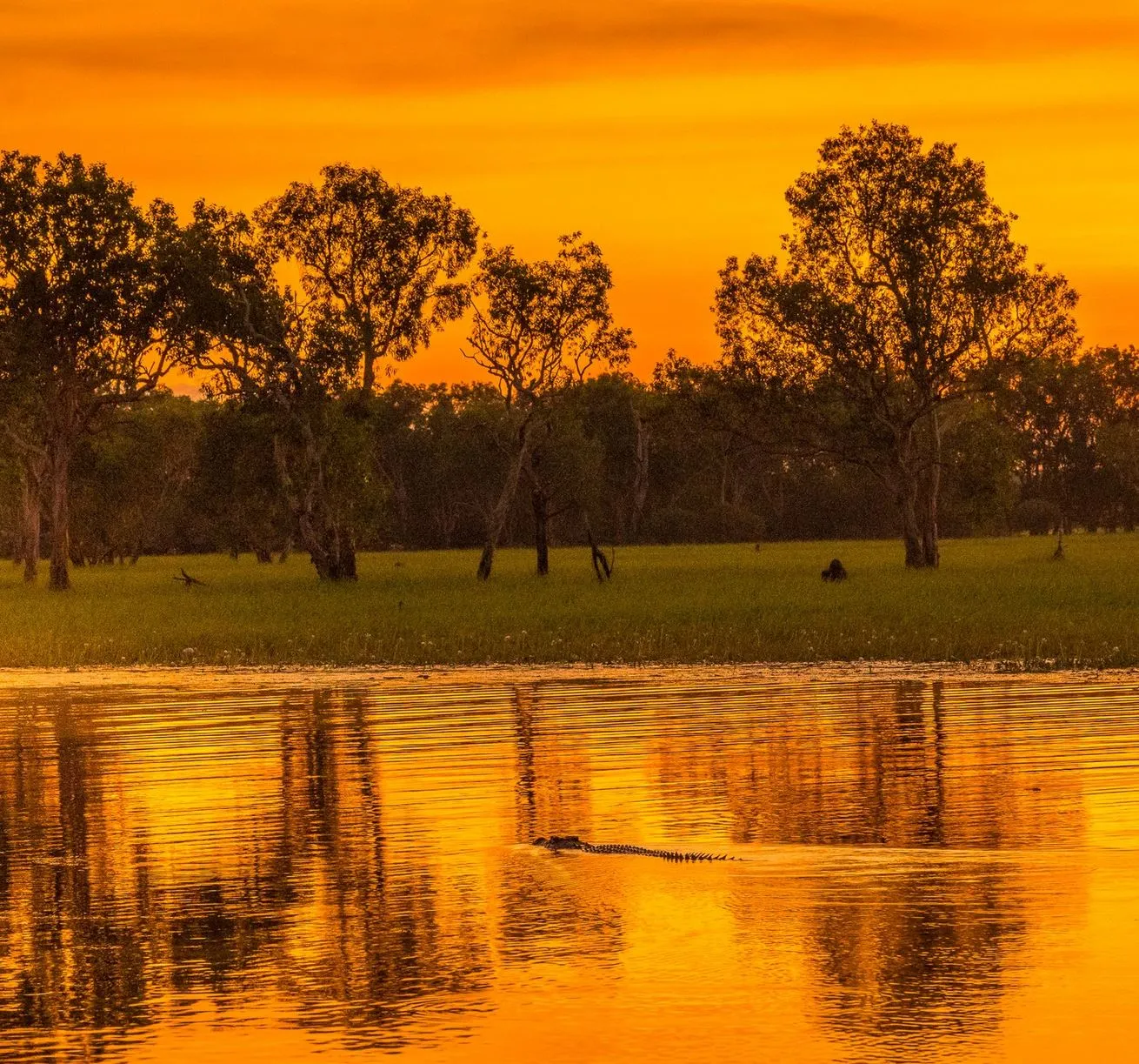 Is It Safe to Drive in Kakadu at Night? Tips & Alternatives